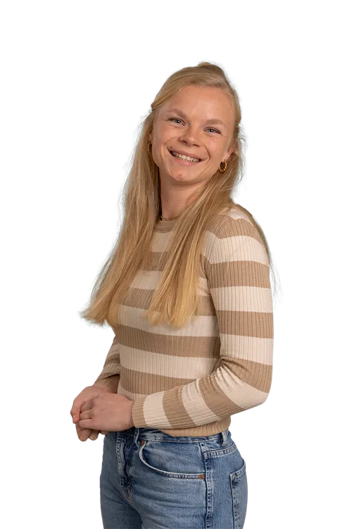 Traineeship - Werkmandejong